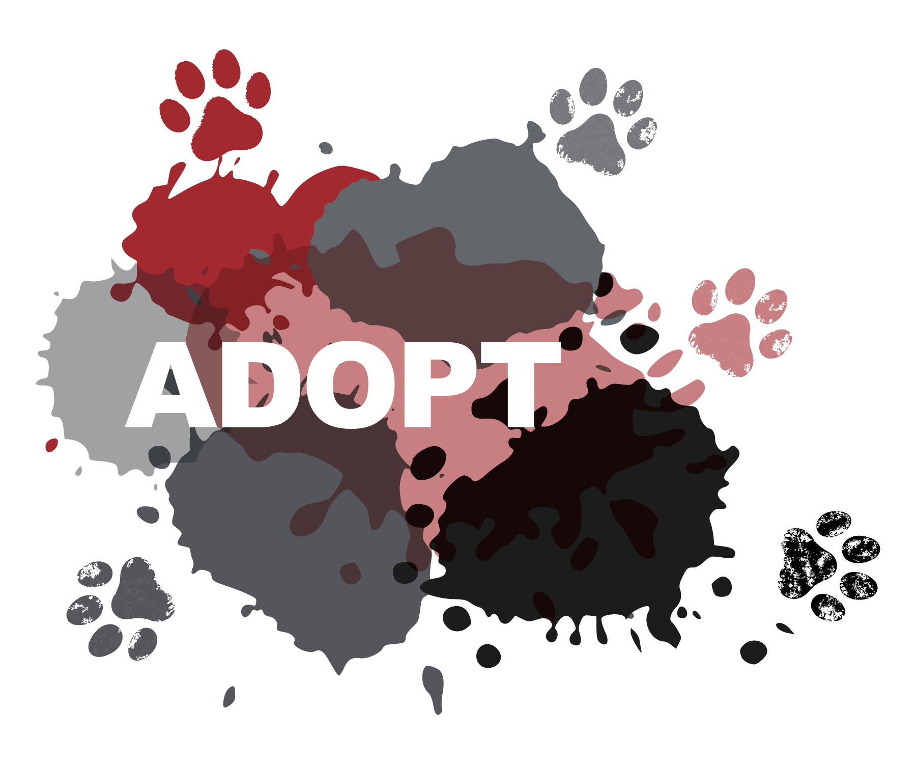 Adopt - Forever Love Rescue Inc - Gettysburg, PA, 17325 - (717) 900-5525